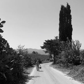 How To Pick and Peel Ficchi D'India – My Sicilian Love Affair